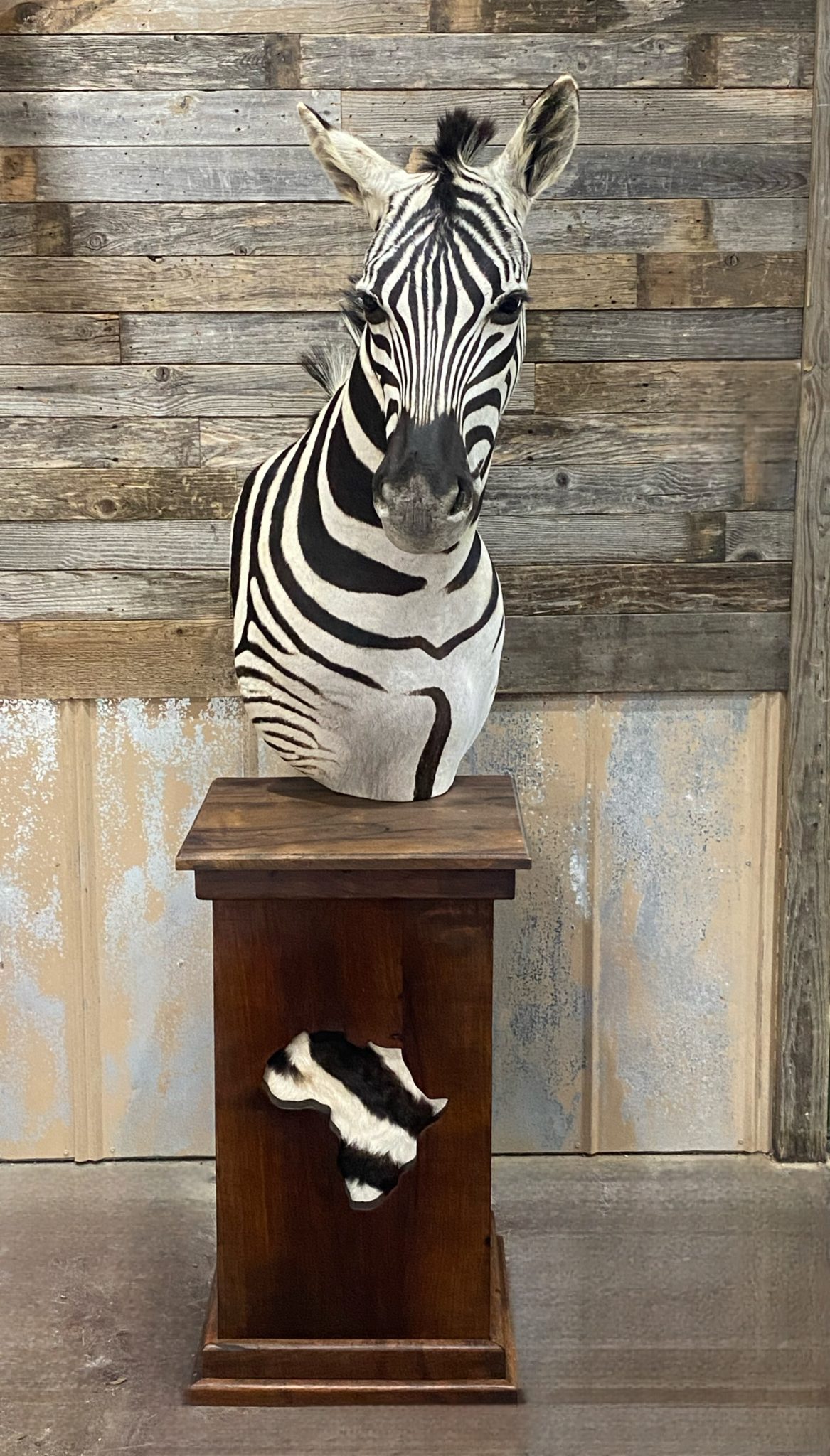 Otten Brothers Taxidermy Shoulder Mounts | Otten Brothers Taxidermy